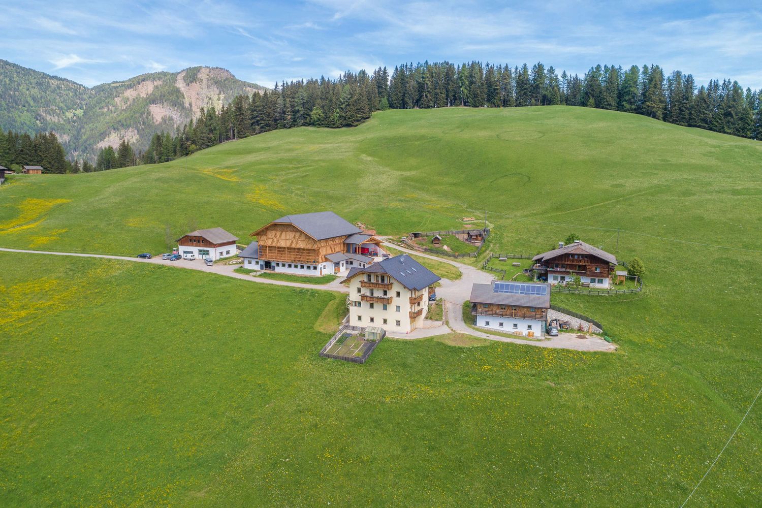 Gscnara - Farm holidays in San Martino in Badia, Dolomites