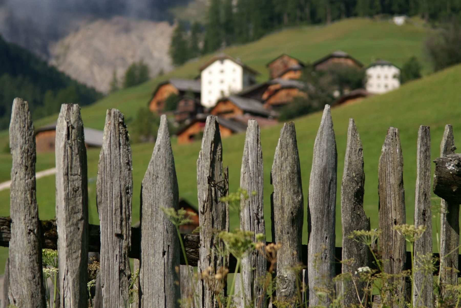 Discover the Ladin culture in Val Badia - Gscnara